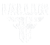 Fallen Skate Shoes Patriot Black/White – Fallenfootwear-AR